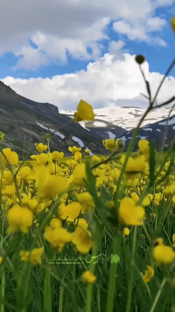Scenic Iranian Village Showcases Natural Beauty Near West Azarb…